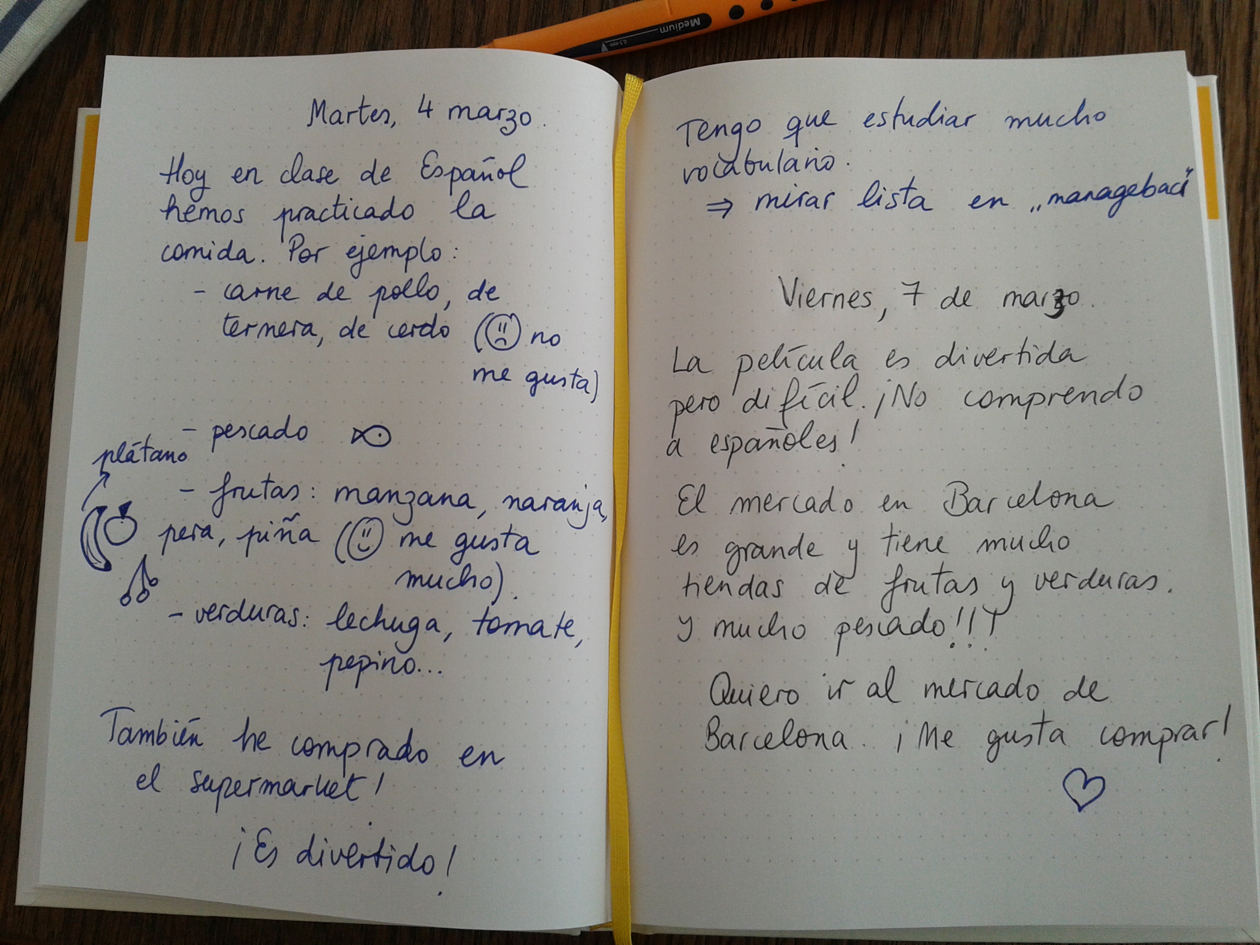 Ejemplos De Escritura De Diario