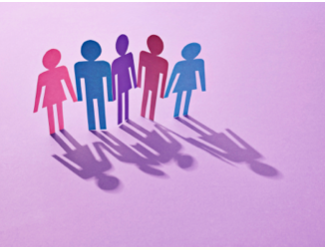 DP Spanish B: Organización social